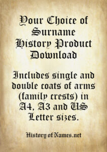 Product Choice Archives - HistoryofNames.net